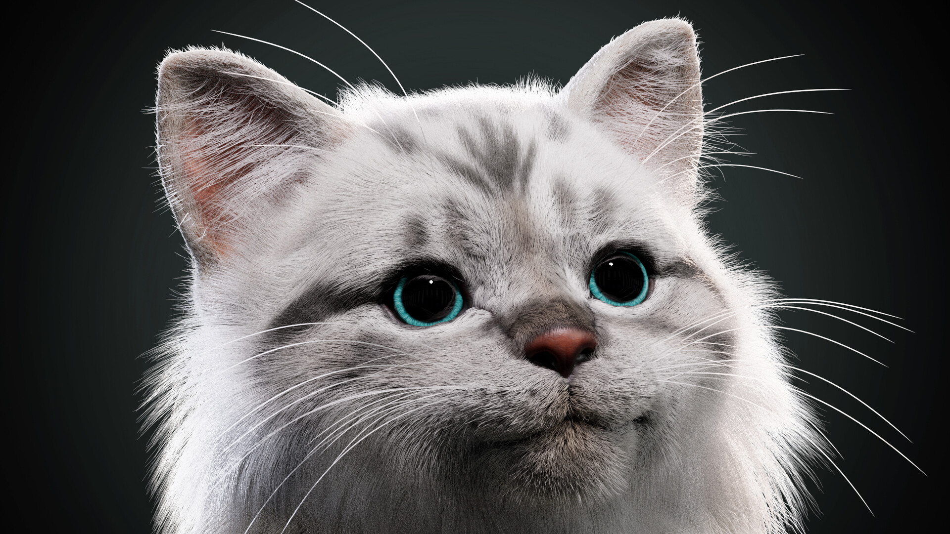 ArtStation - Fluffy Cat