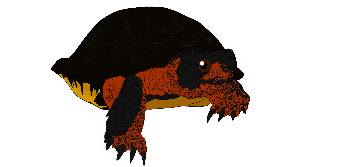 Forgemaster Alex - Turtle Stickers