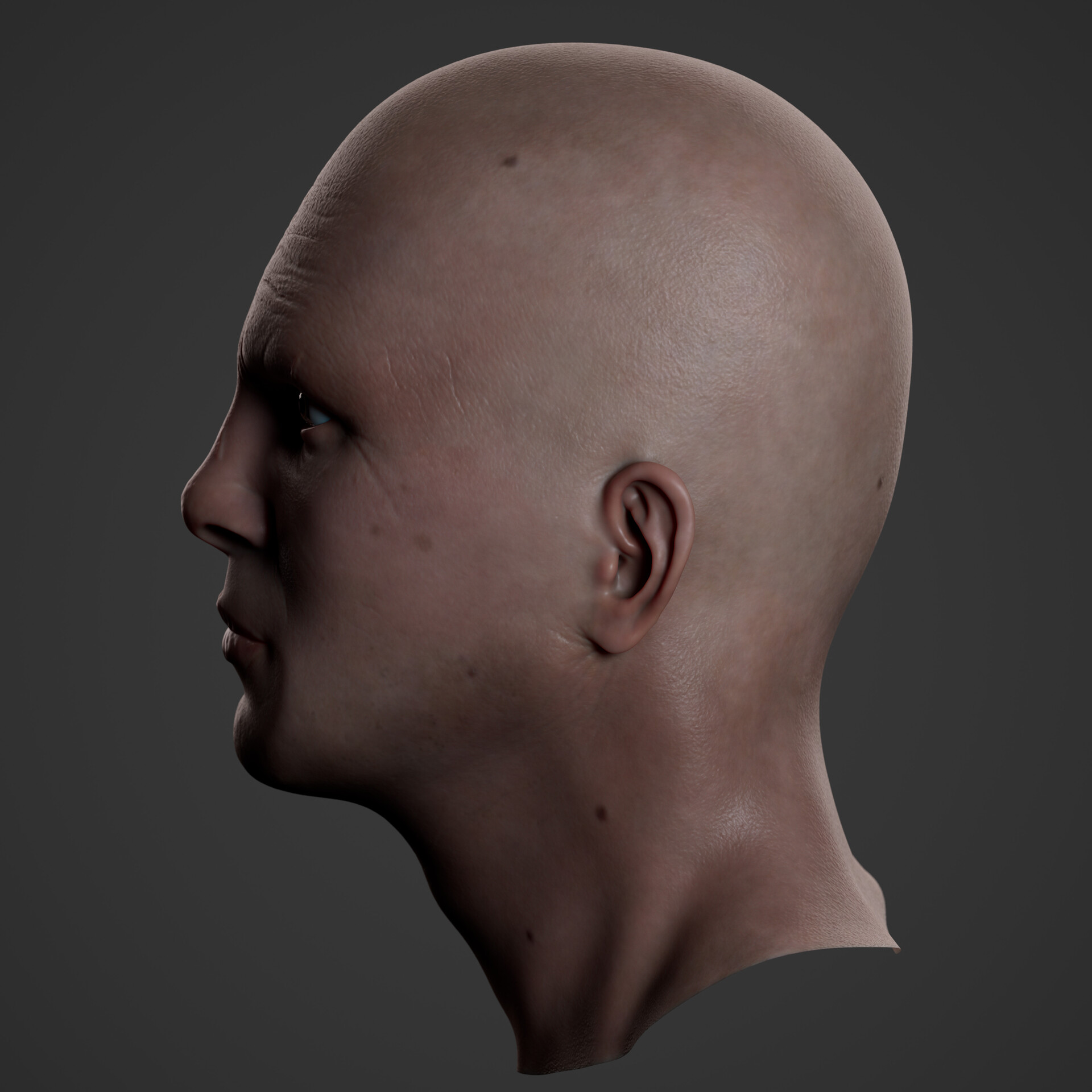 Júlia Viñas - Texturing of a realistic human bust 👨🏻‍🦲