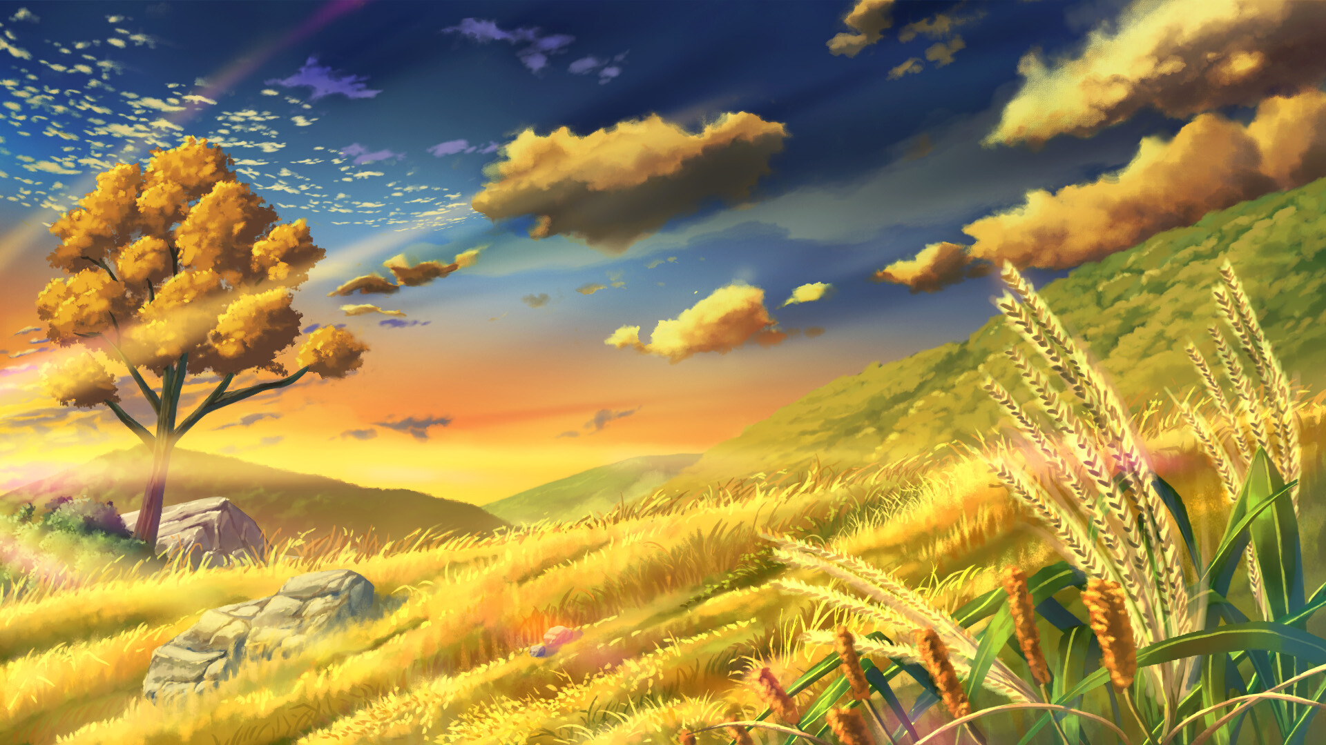 anime field background