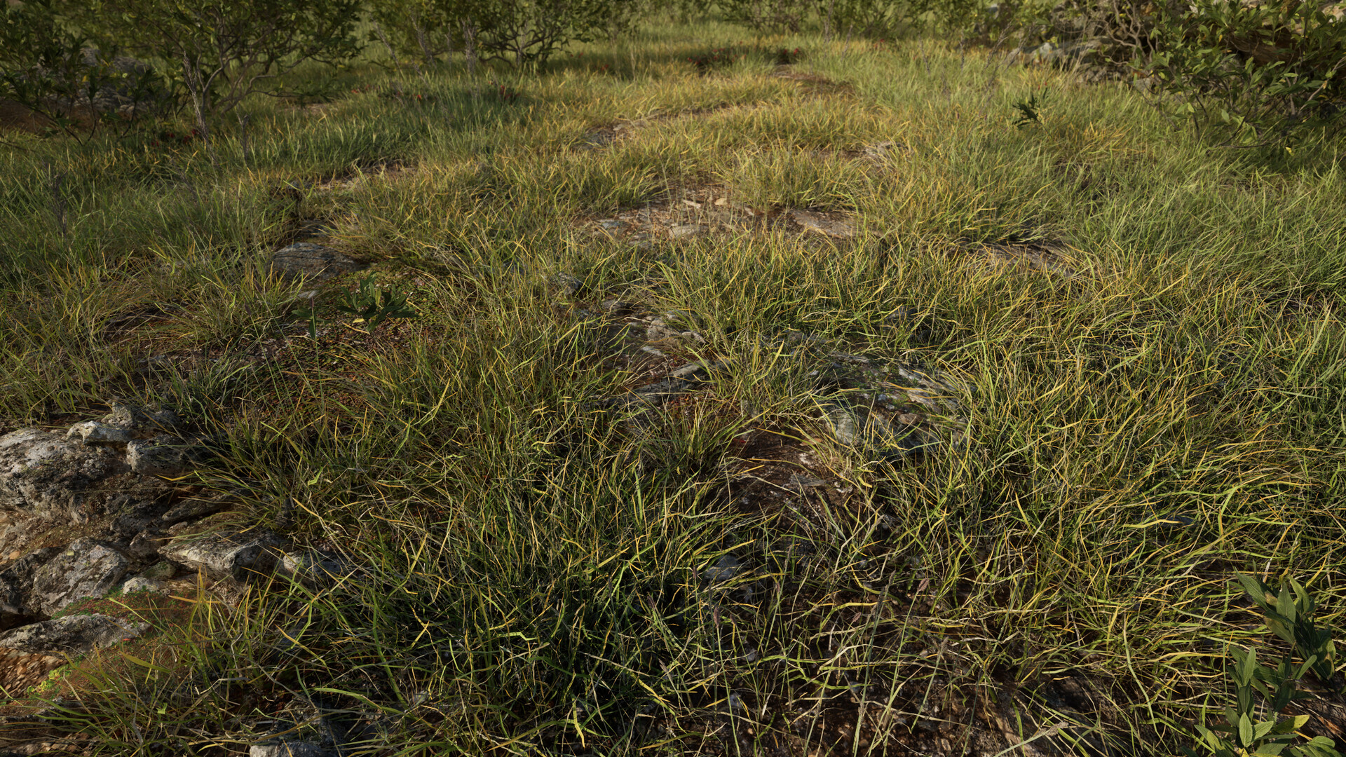 Tundra Grass