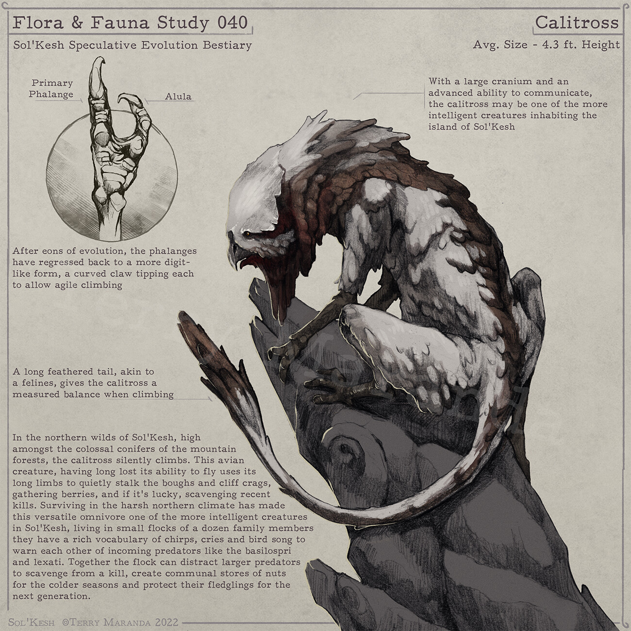 ArtStation - The Calitross