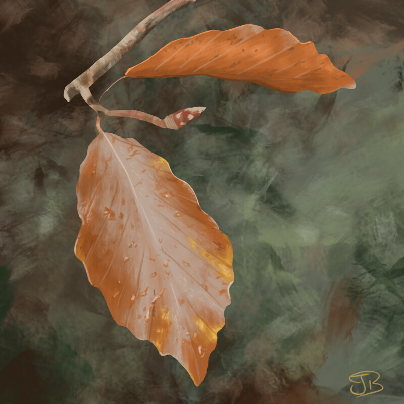 ArtStation - Judy Bellingham