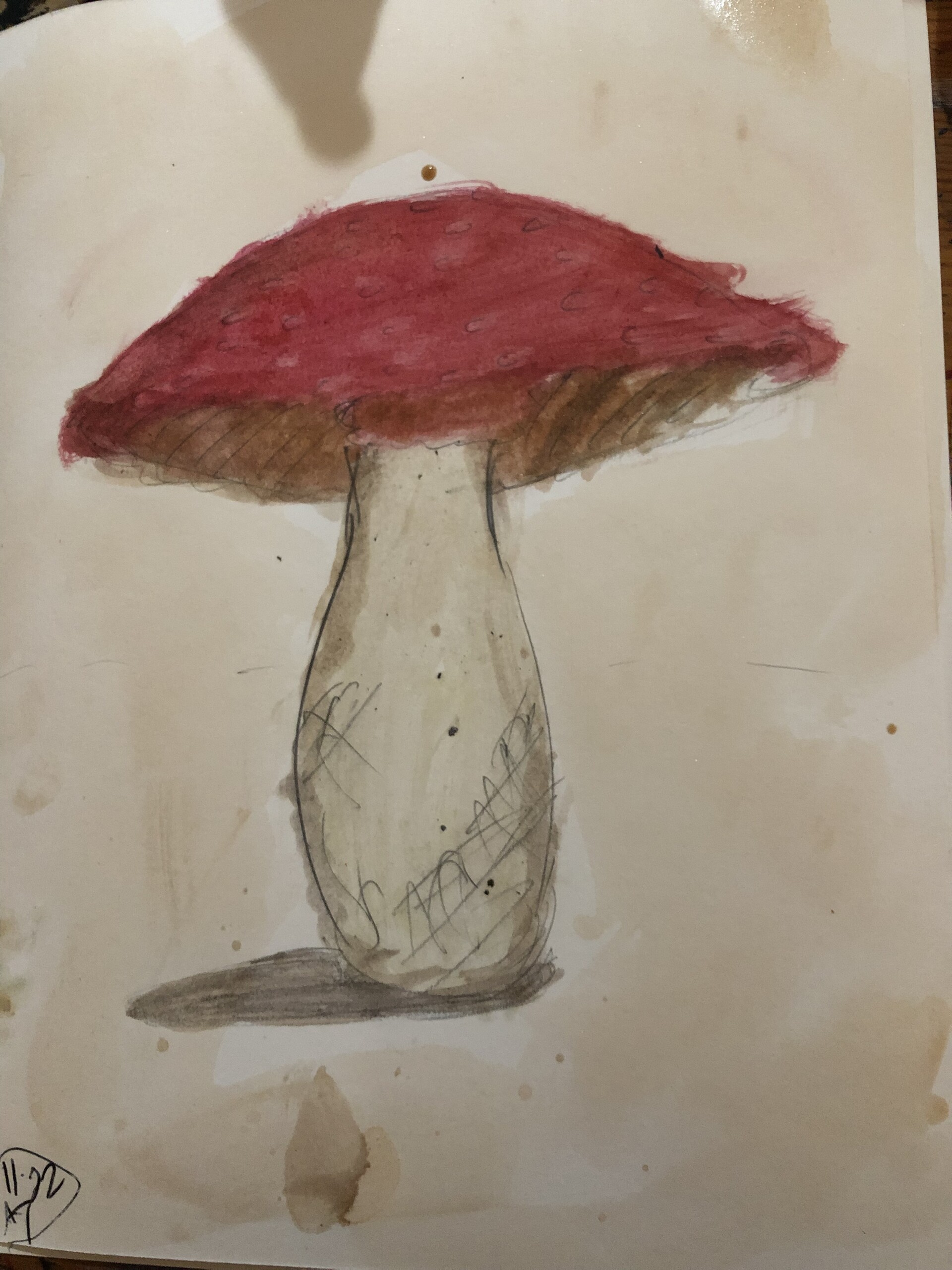 ArtStation - Mushroom study