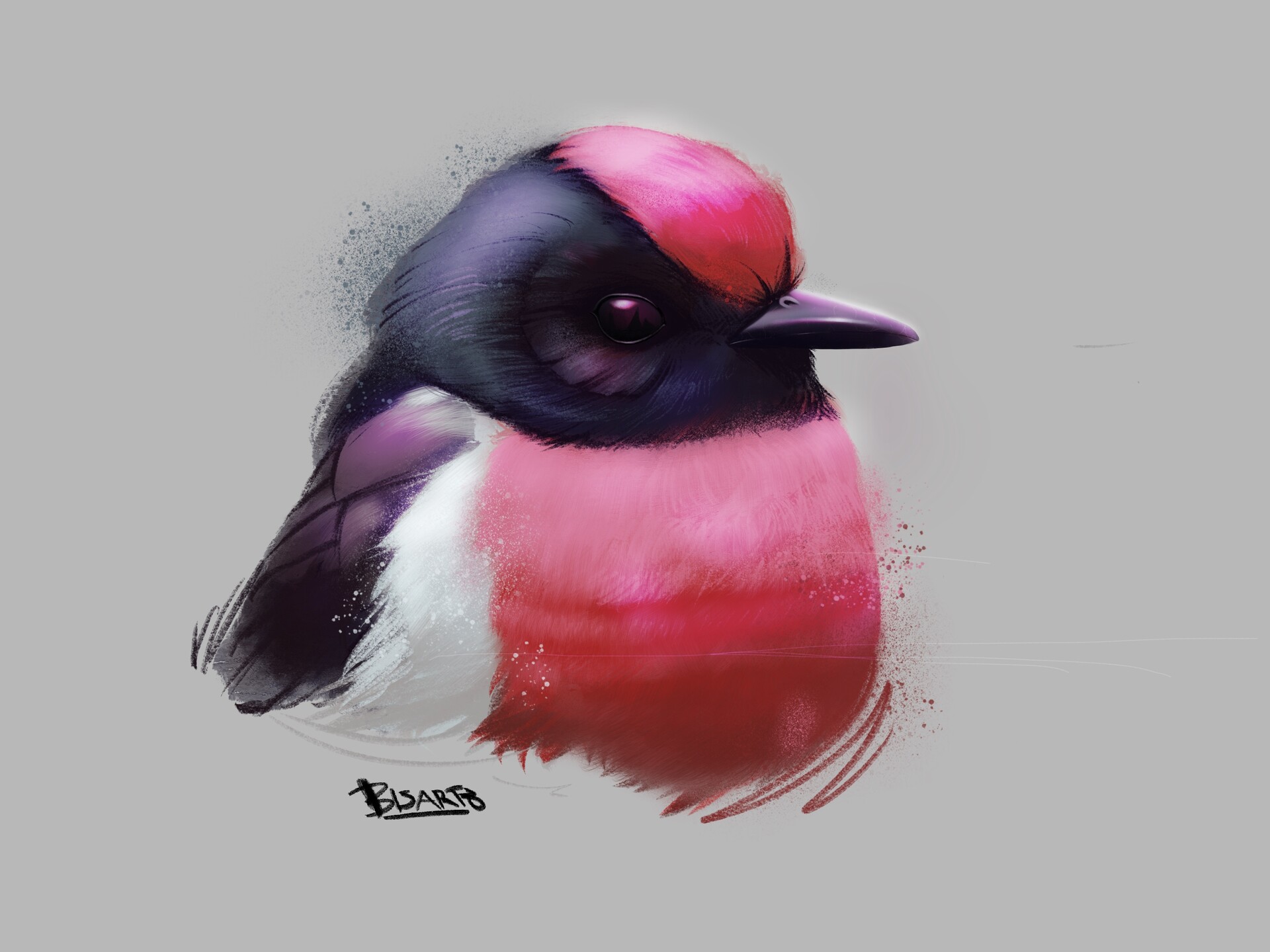 ArtStation - Bird
