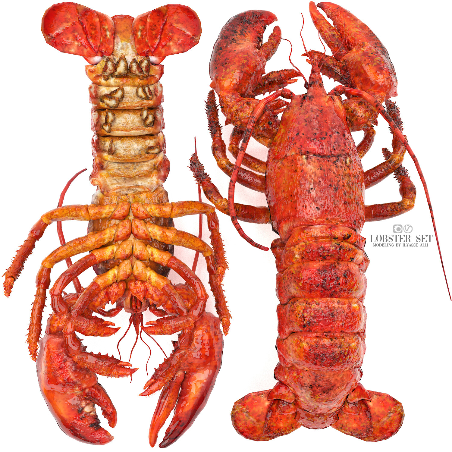 Pro - lobster set