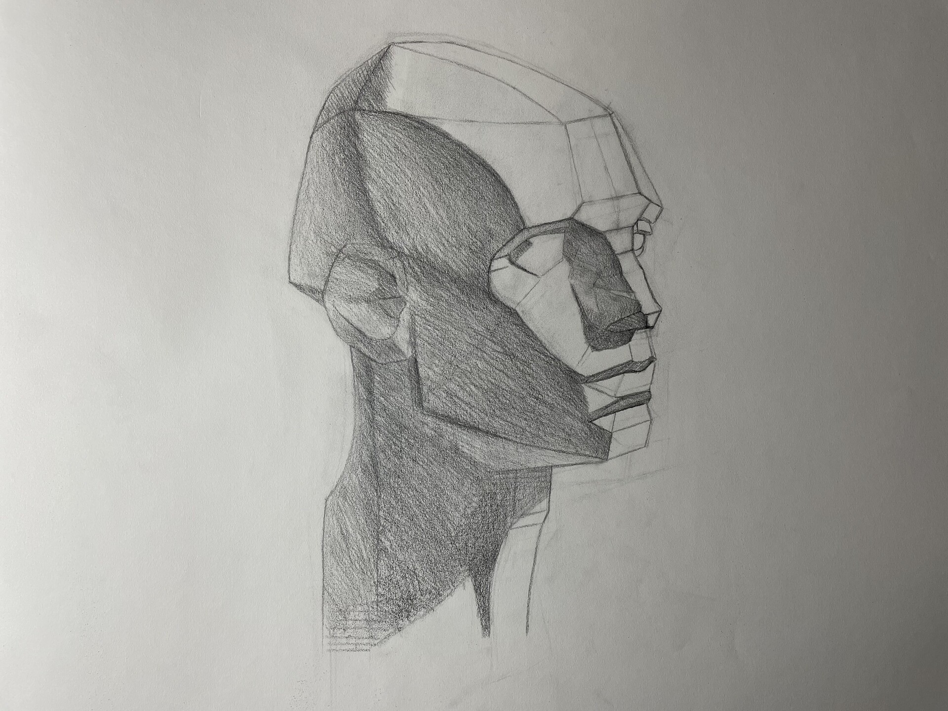 ArtStation - Fundamentals of Observational Drawing #2: Week 7 (NMA)