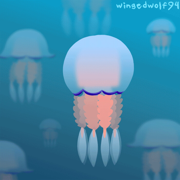 jellyfish animation