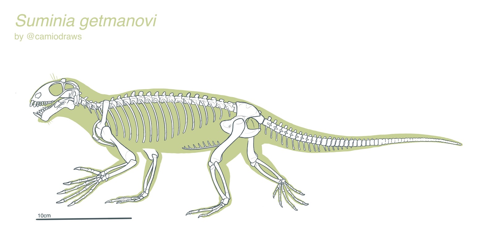 Miquel Camio - Suminia getmanovi