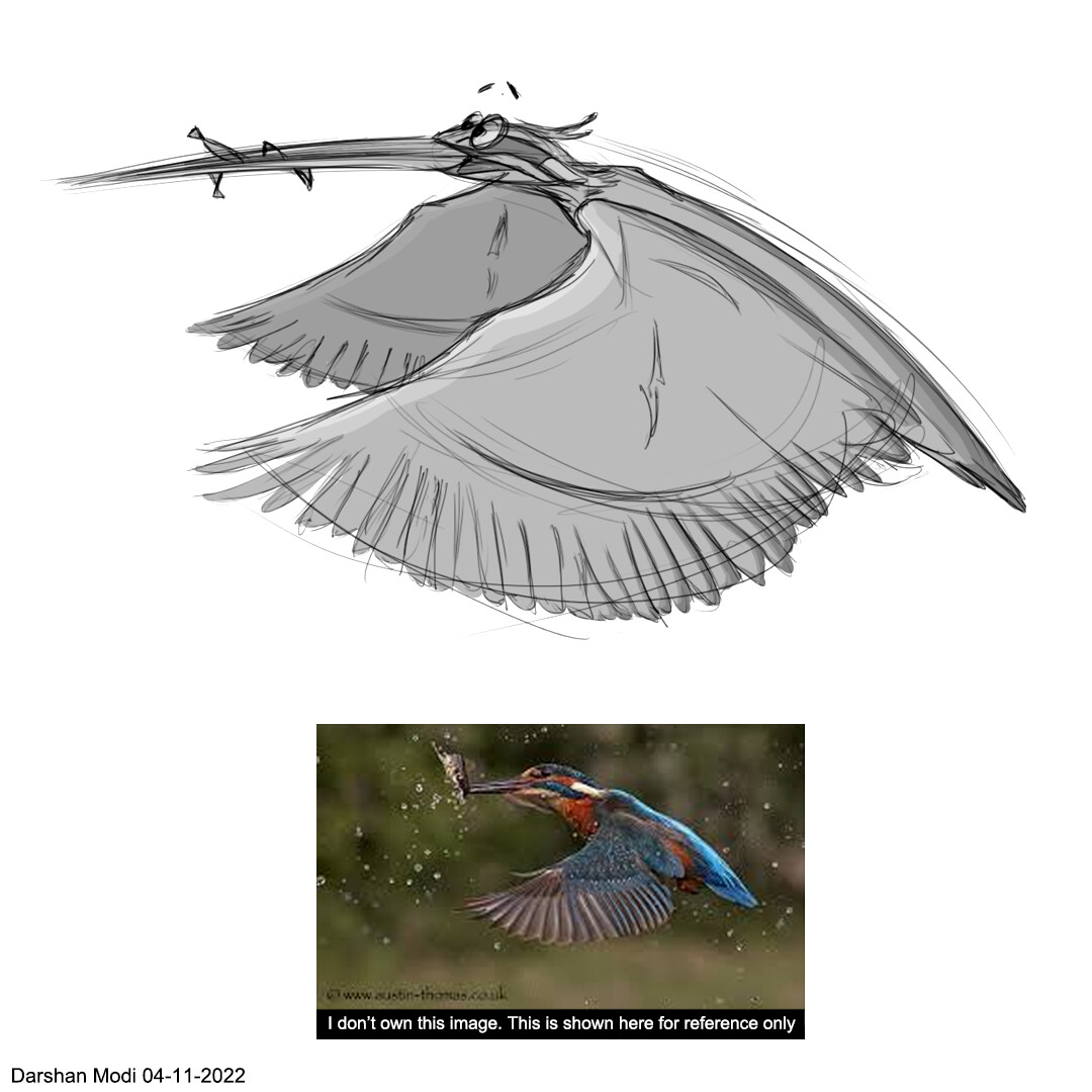 ArtStation - Kingfisher Character Design - Exploration sketch