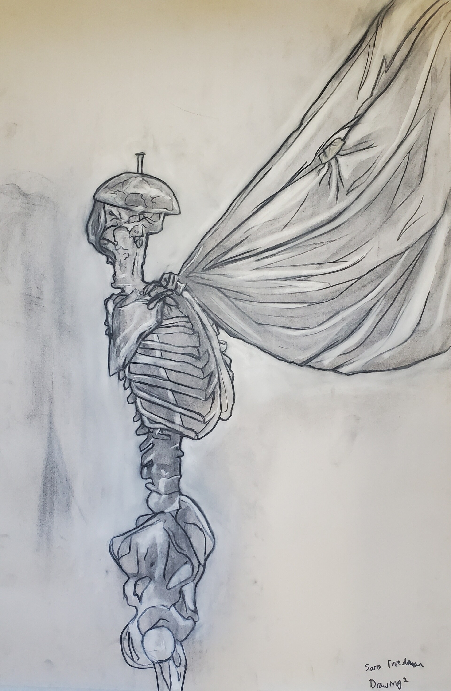 ArtStation - Skeleton