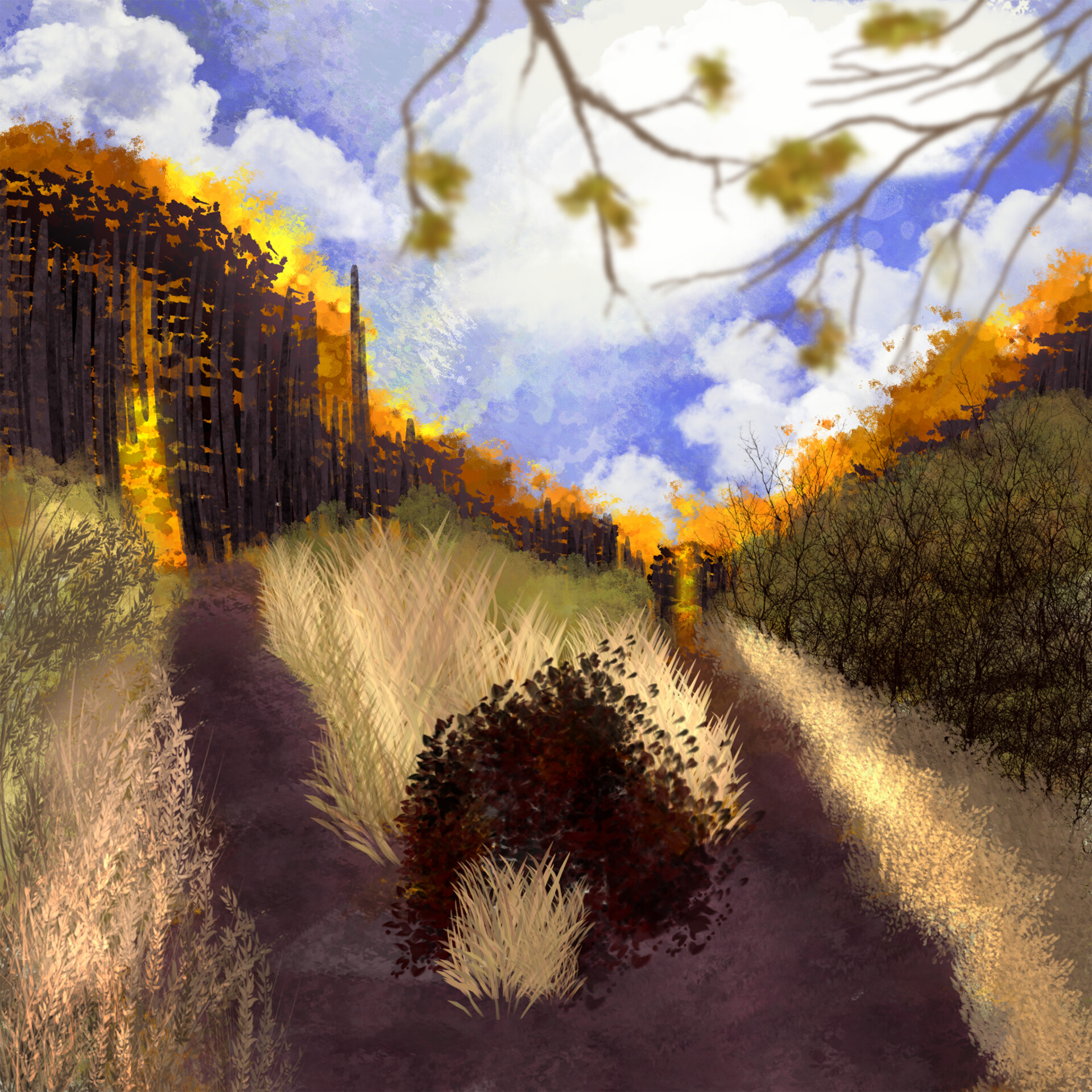 ArtStation - Autumn Trails Sketches