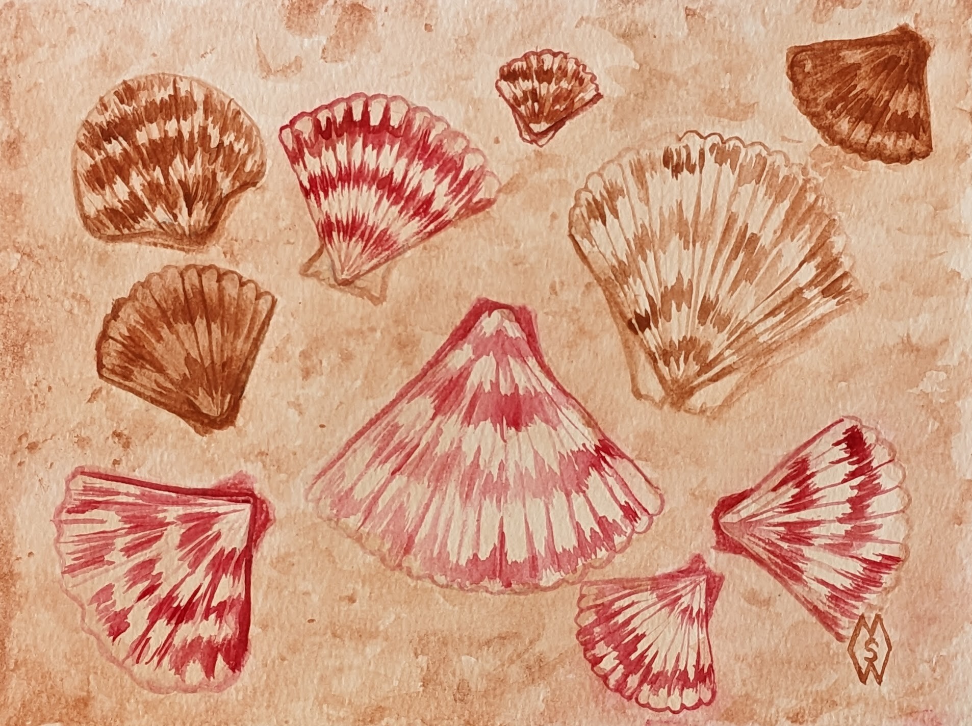 ArtStation - Scallop Seashells