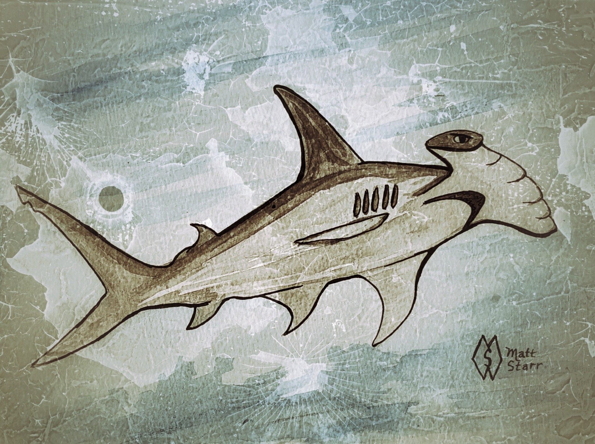 Traditional Shark Drawing