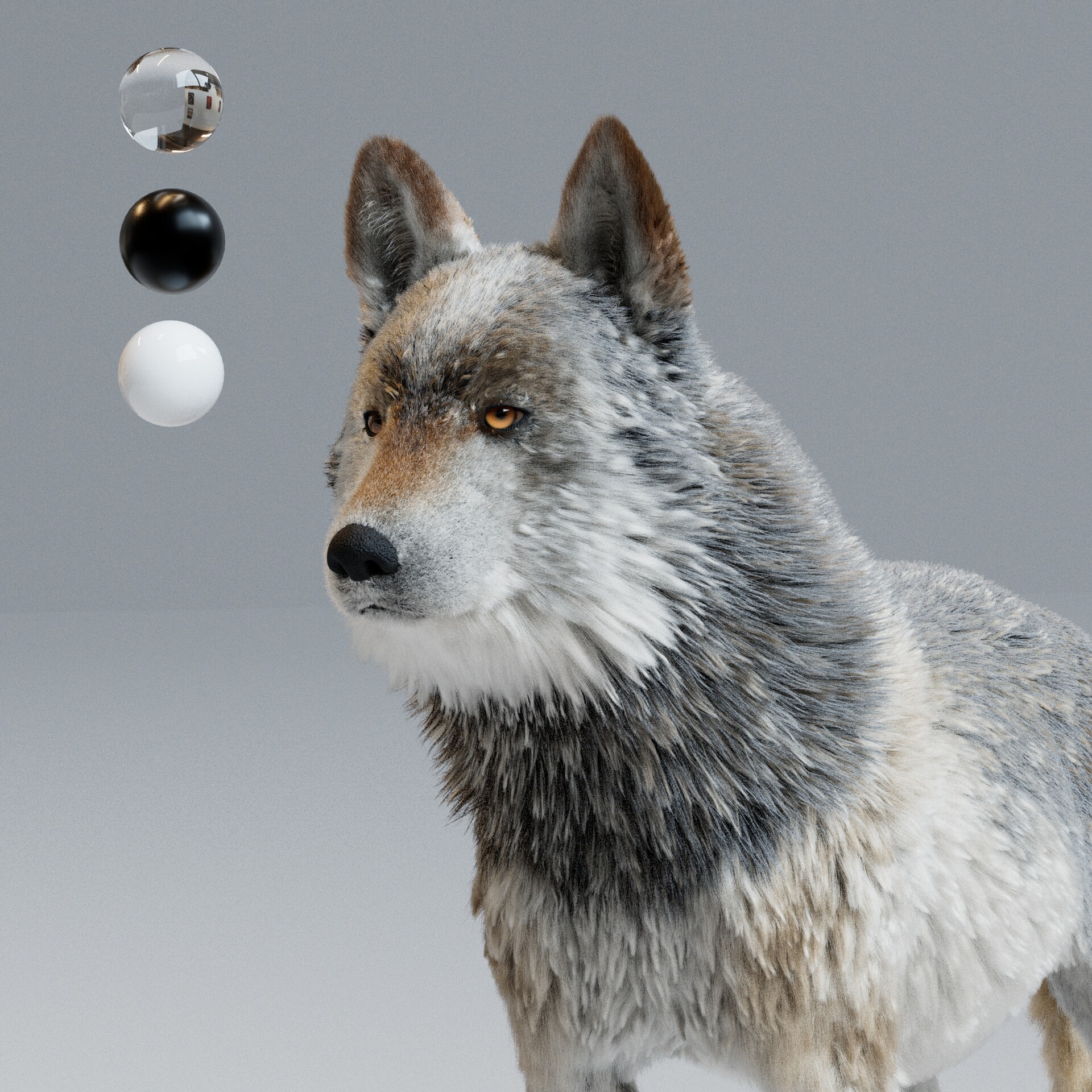 ArtStation - Groom for wolf