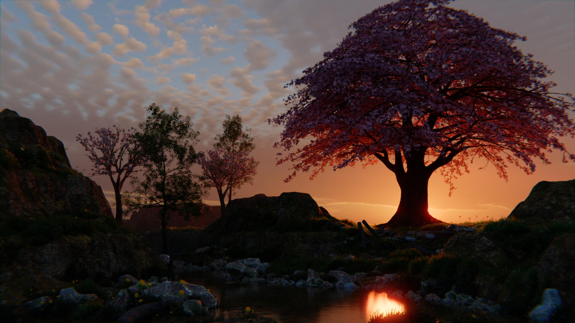 ArtStation - Sakura Sunset