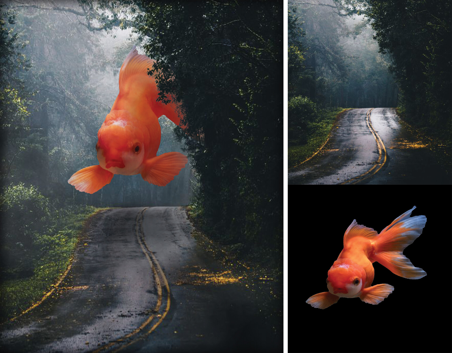 ArtStation - fish manipulation