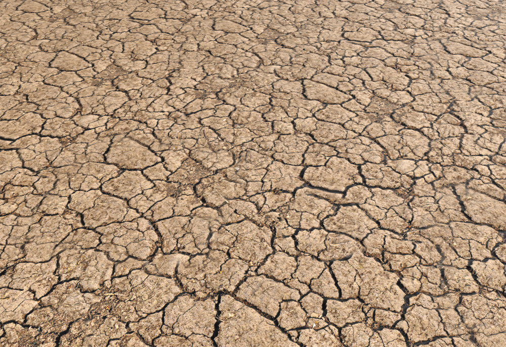 PBR Textures Free Download - Cracked Ground Seamless 3D Texture PBR in ...
