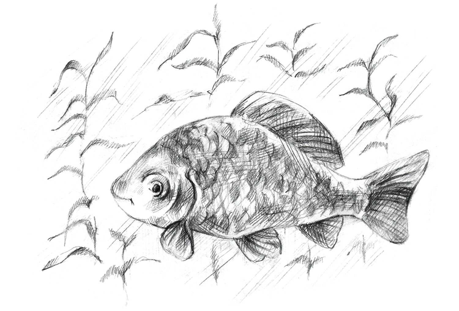 ArtStation - Something about a small fish