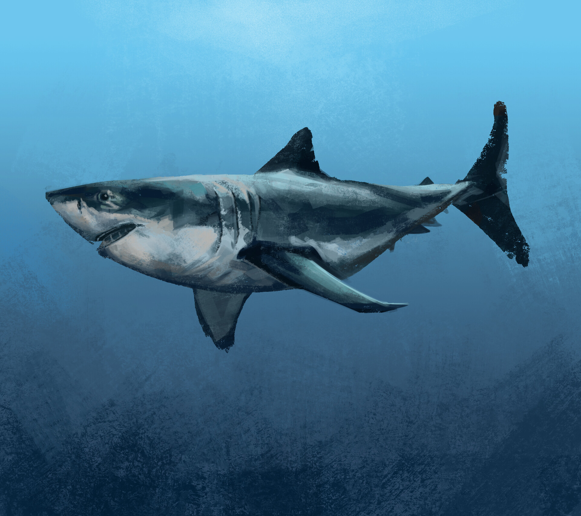 ArtStation - Shark