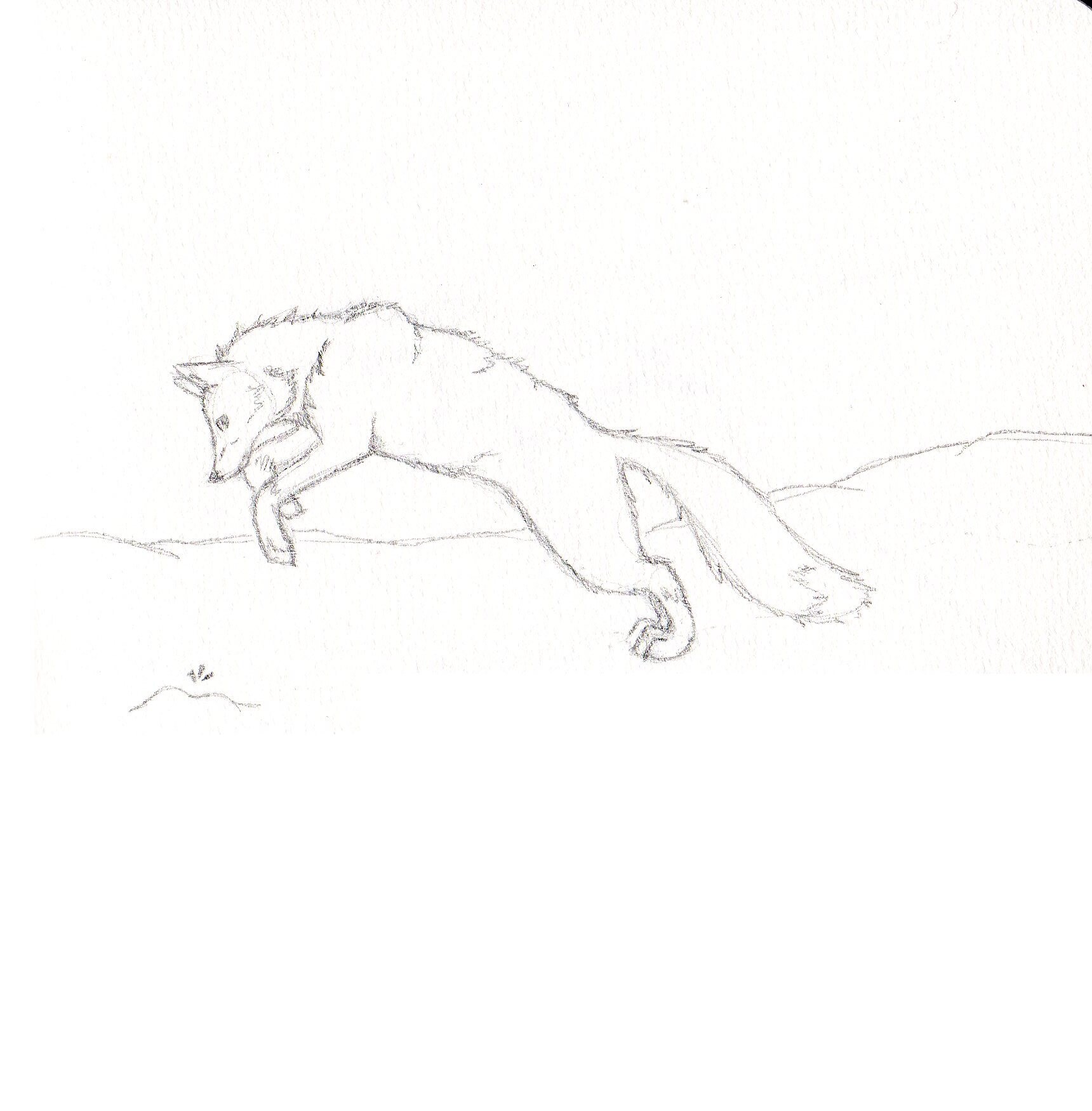 how to draw a fox pouncing