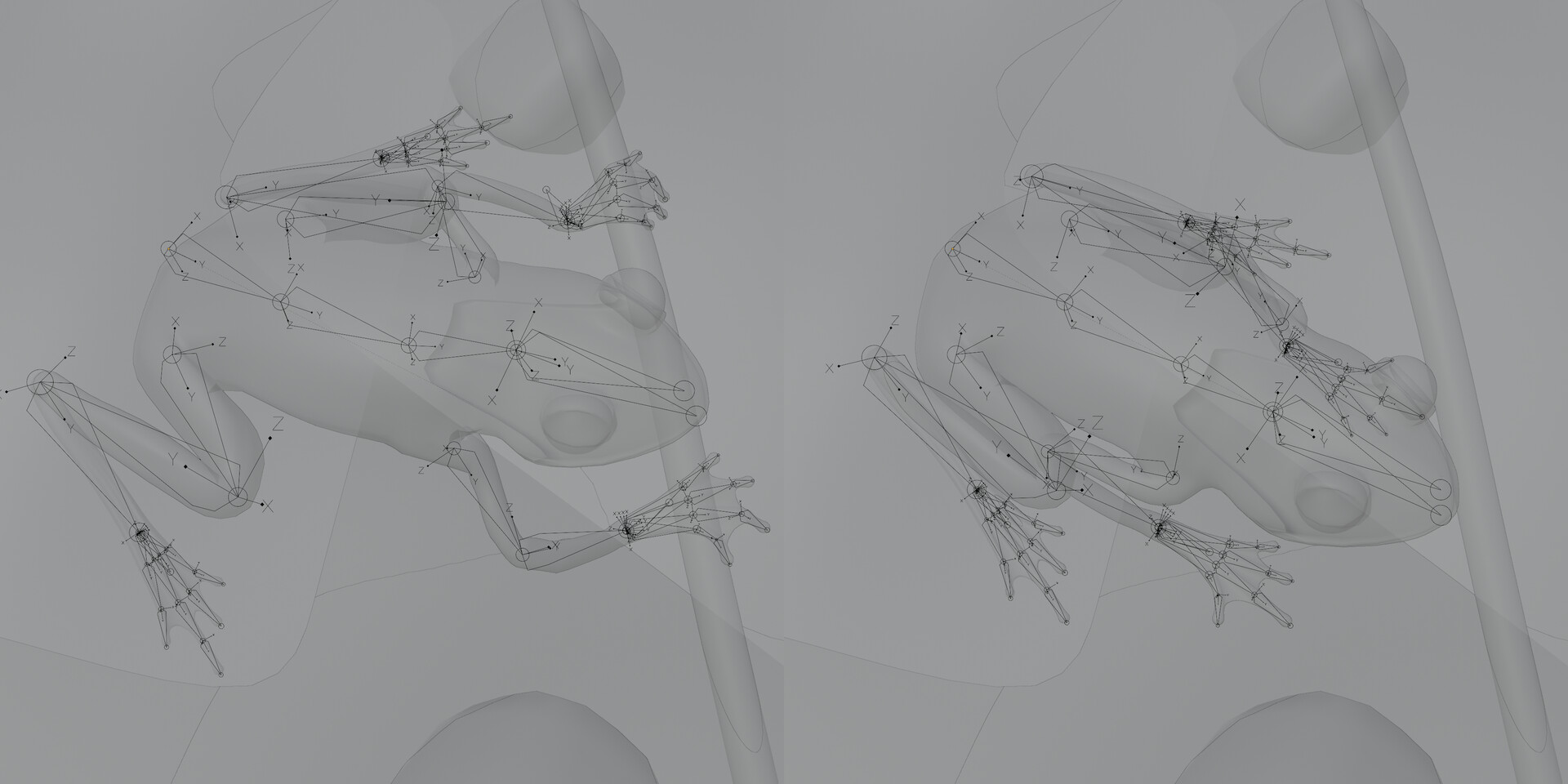 Ivan Gutierrez - Nature