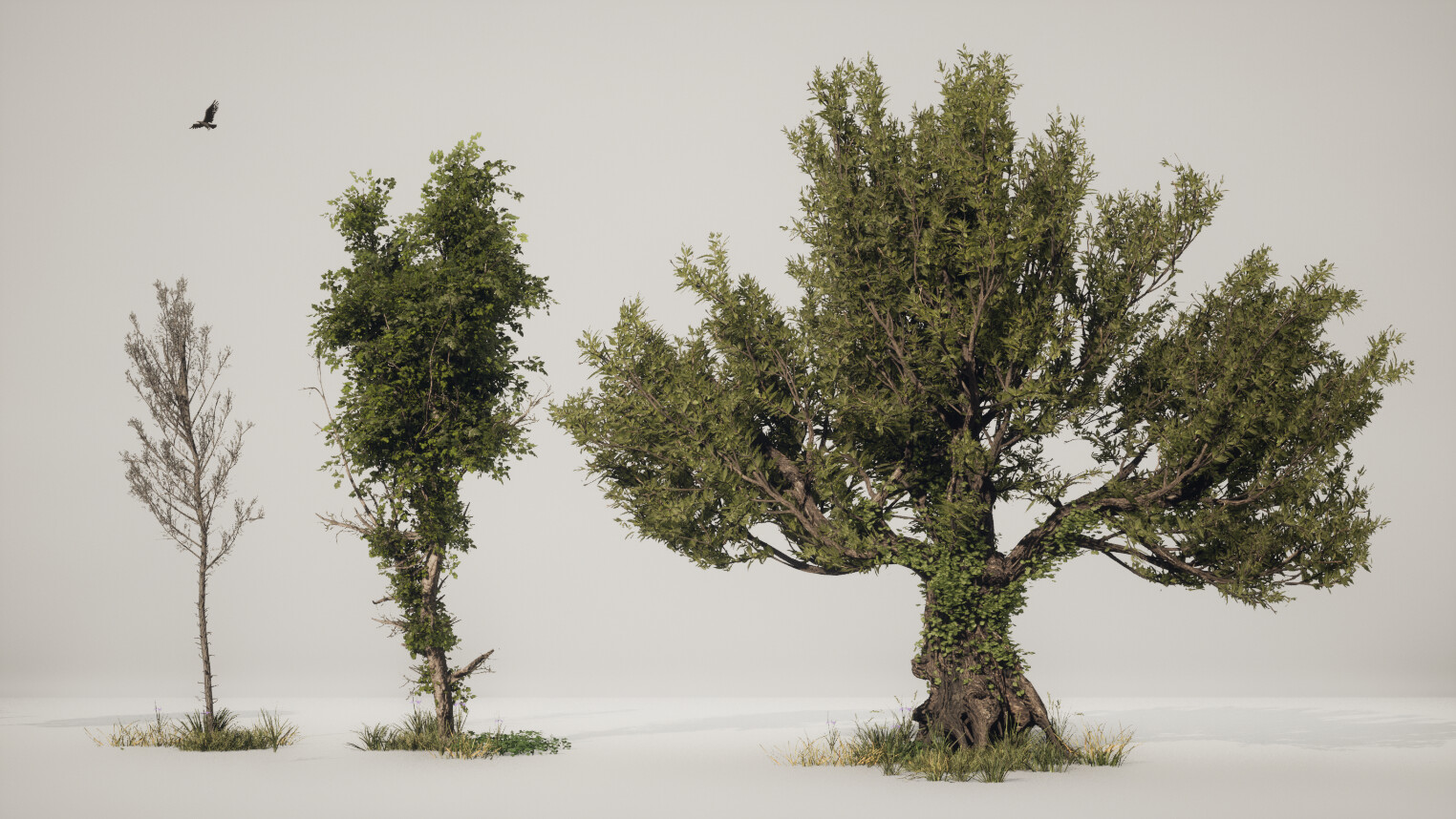 ArtStation - Trees