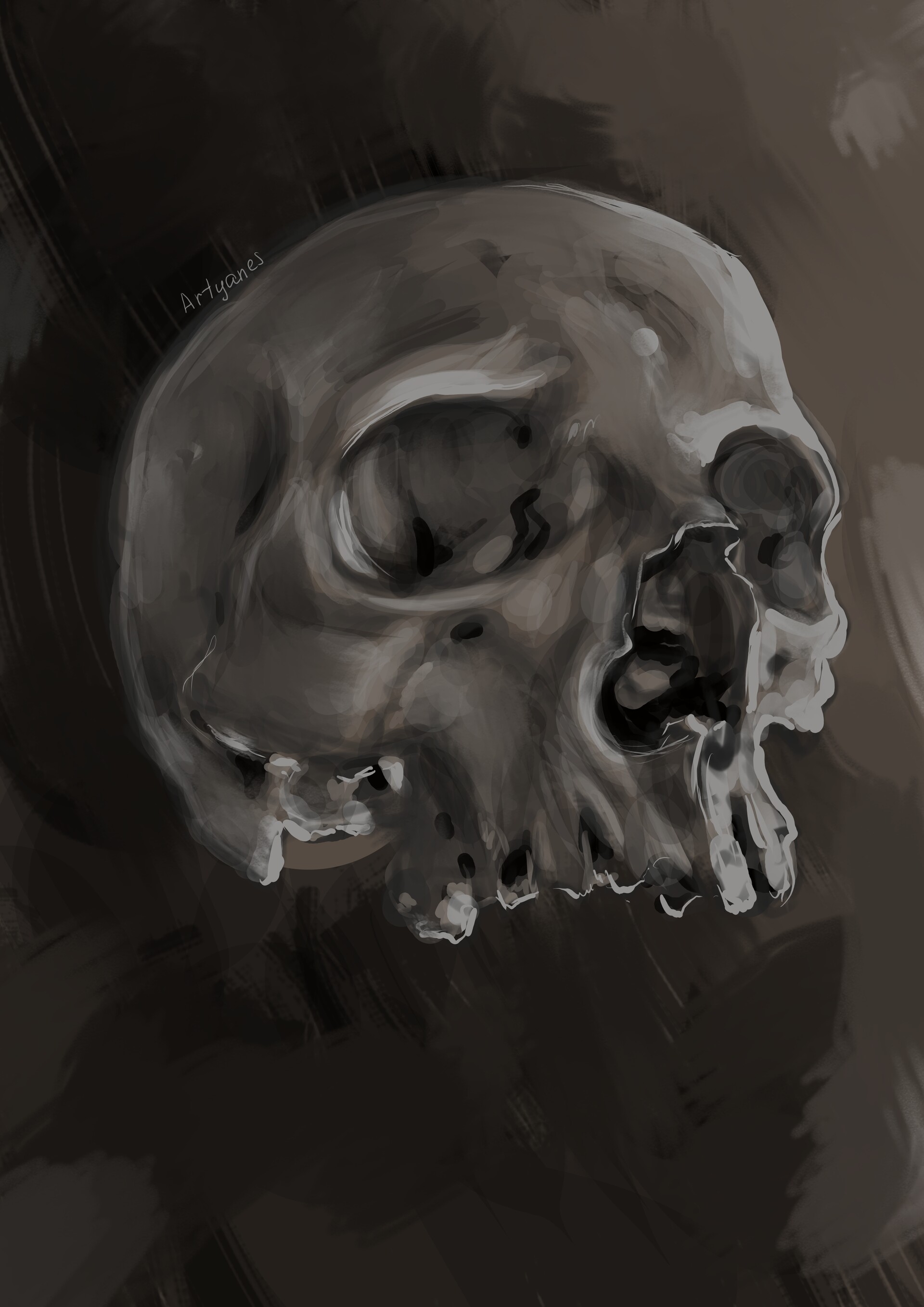 ArtStation - Scull anatomy study