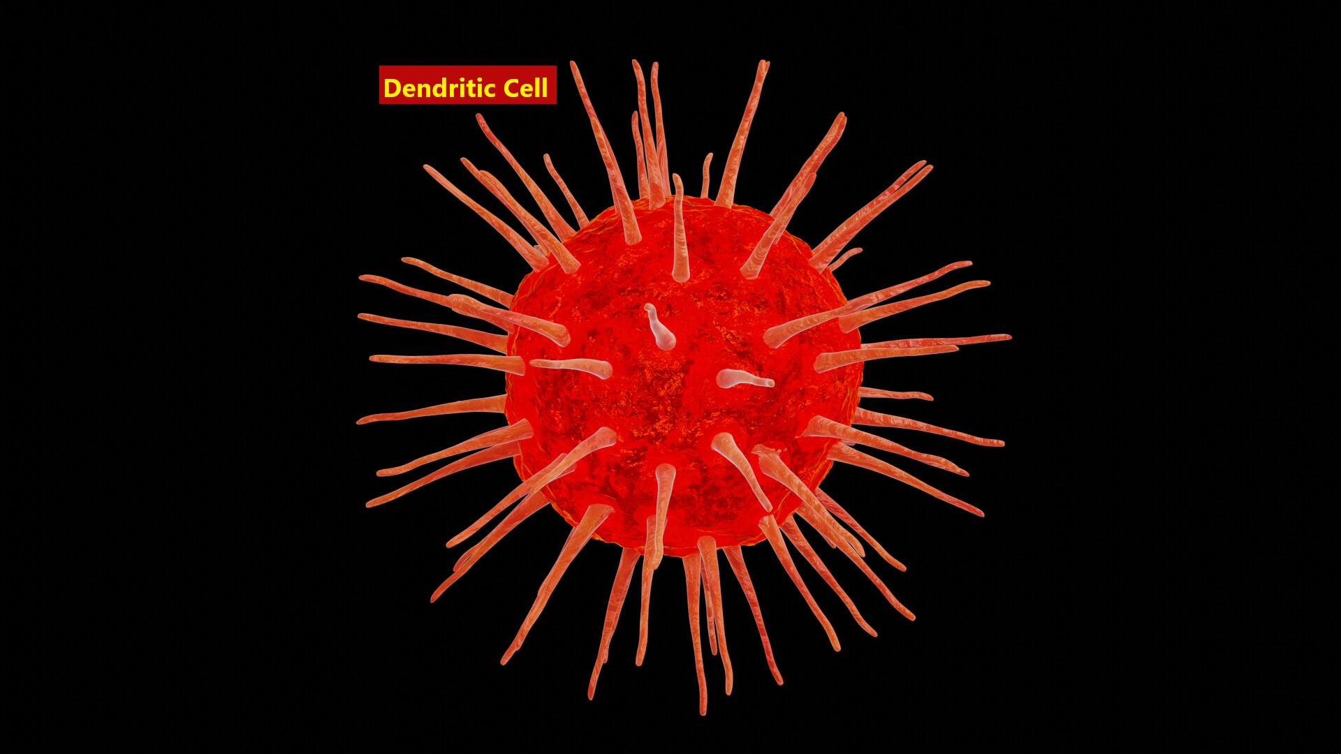 ArtStation - Dendritic Cell 3D Model