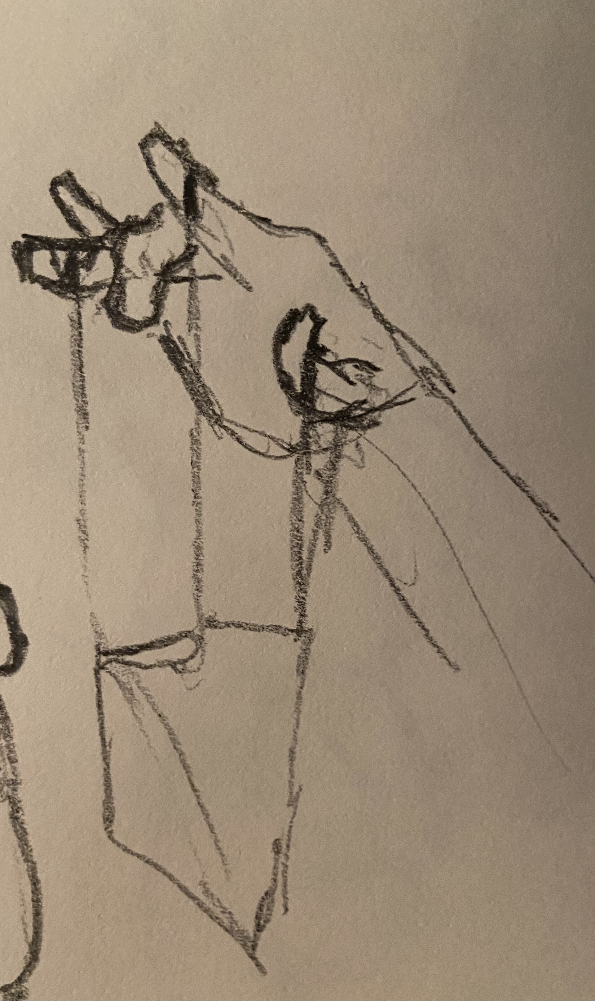 ArtStation - Very rough left hand puppet sketch. Enjoy