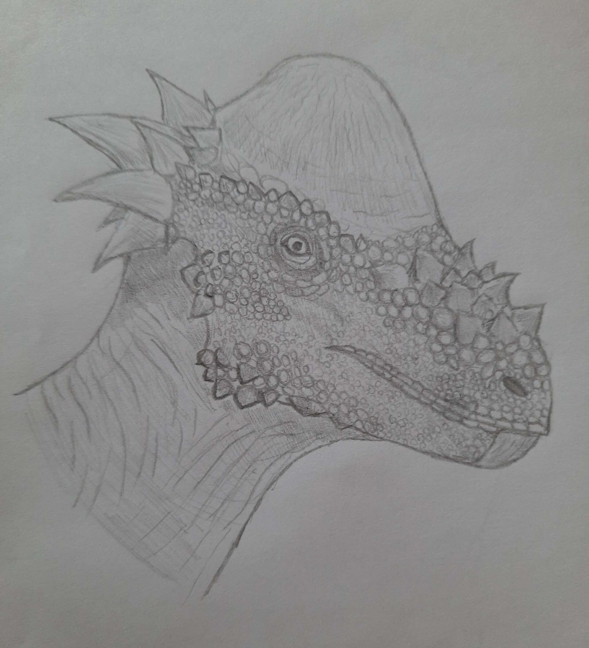 ArtStation - Pachycephalosaurus