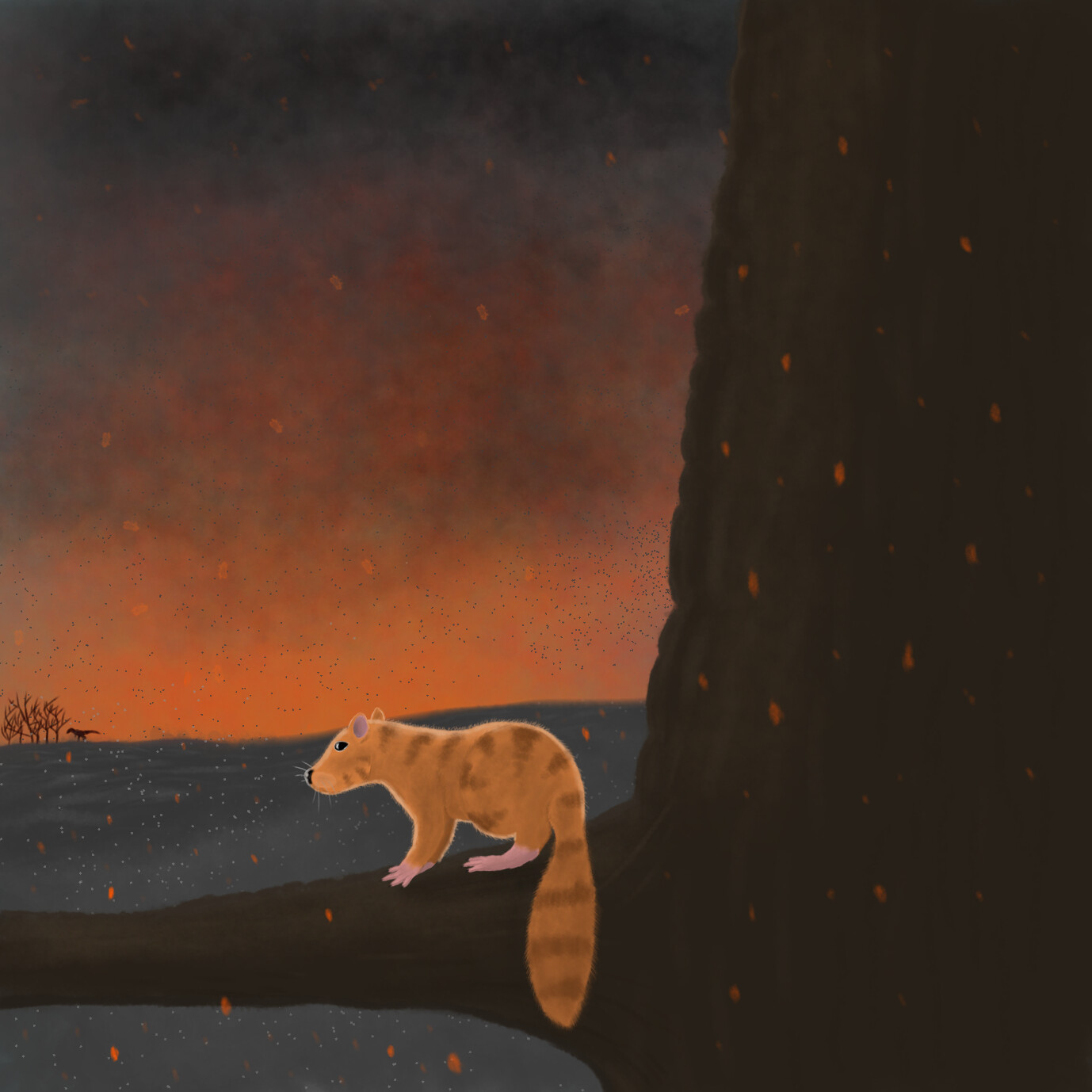 ArtStation - Mesodma garfieldensis (thompsoni)