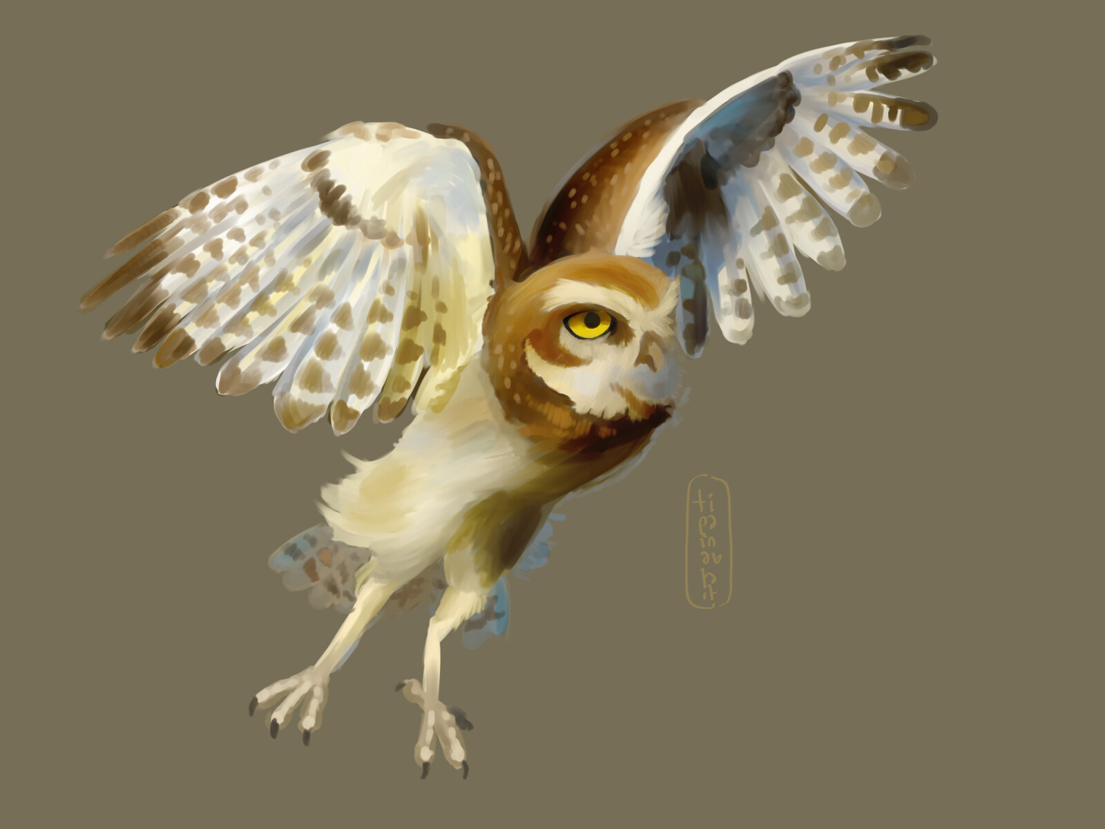 ArtStation - Athena’s Owl