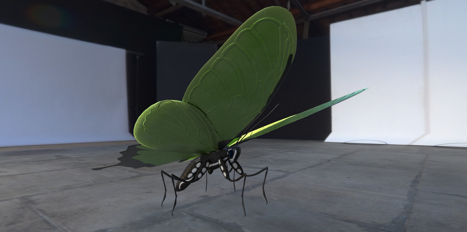 ArtStation - Butterfly Model