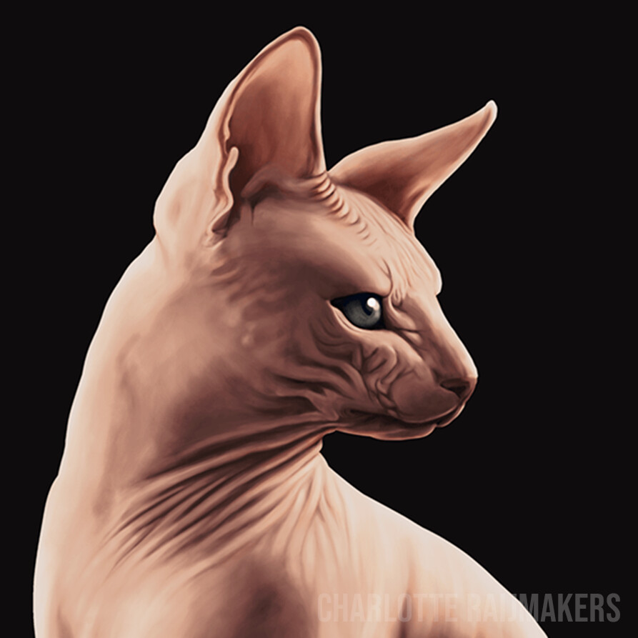 ArtStation - Sphynx cat