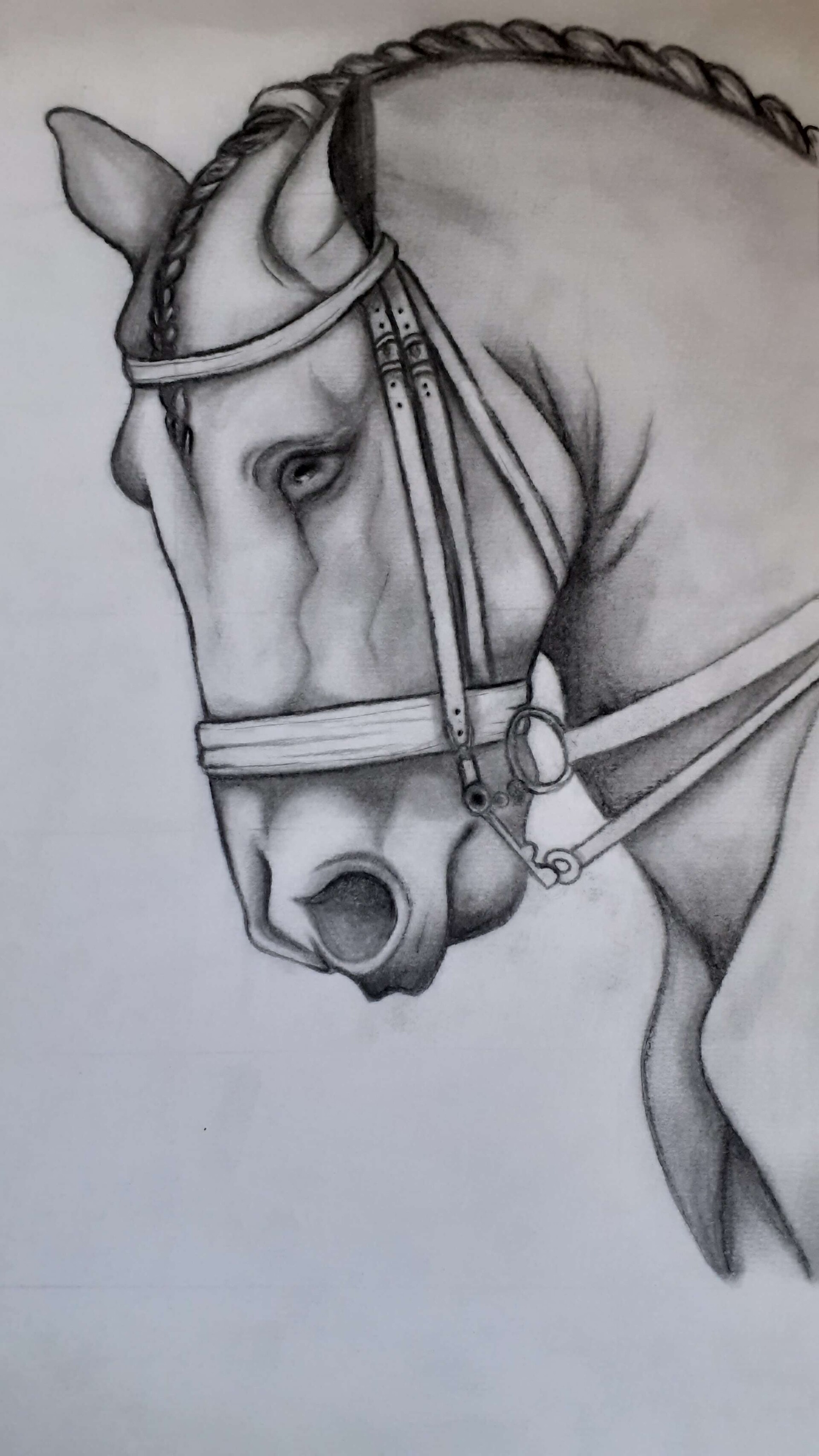 how to draw horse head side view