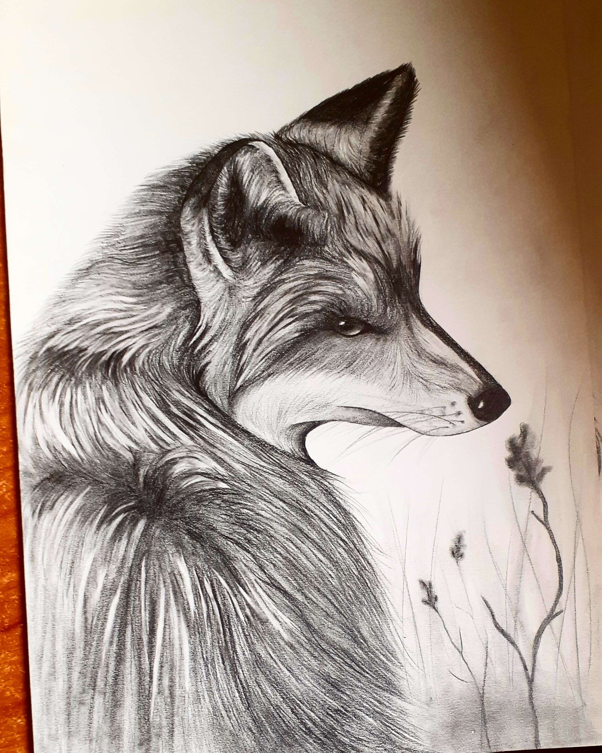 ArtStation - Fox