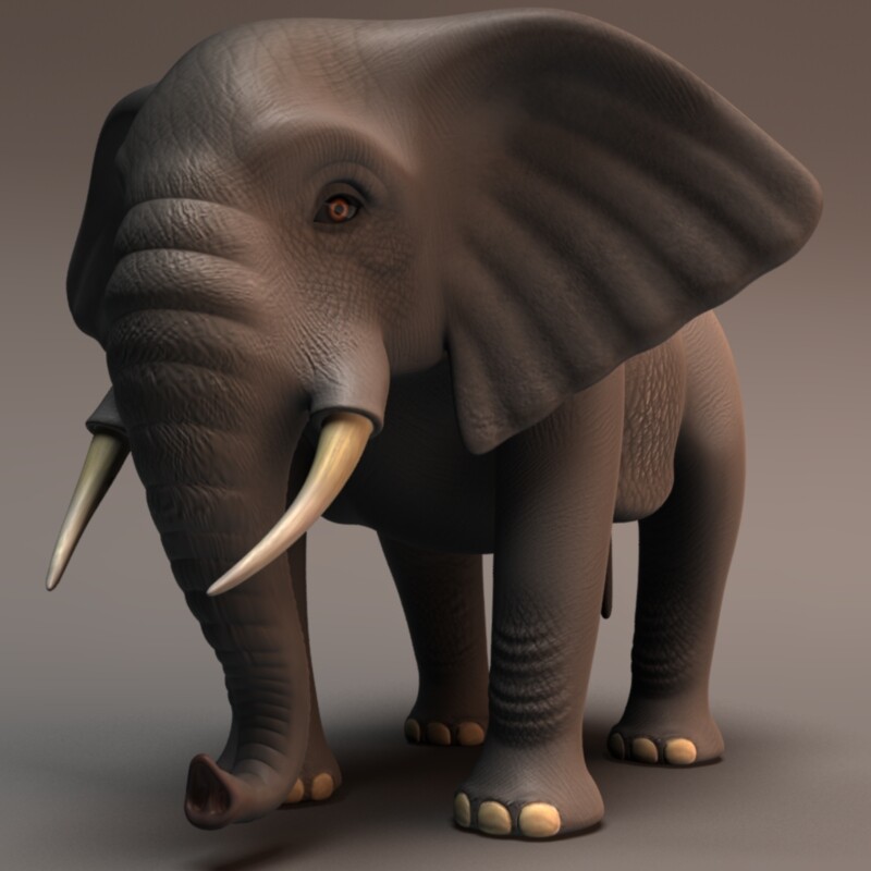 ARNON RAVITZ - 3D modeling