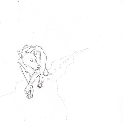 Wolf Walking Away Drawing