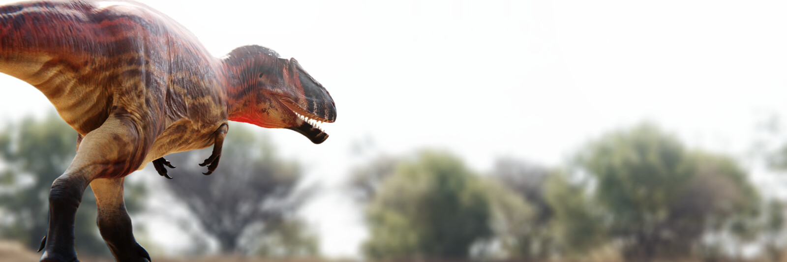 Oakyere - Meraxes Gigas