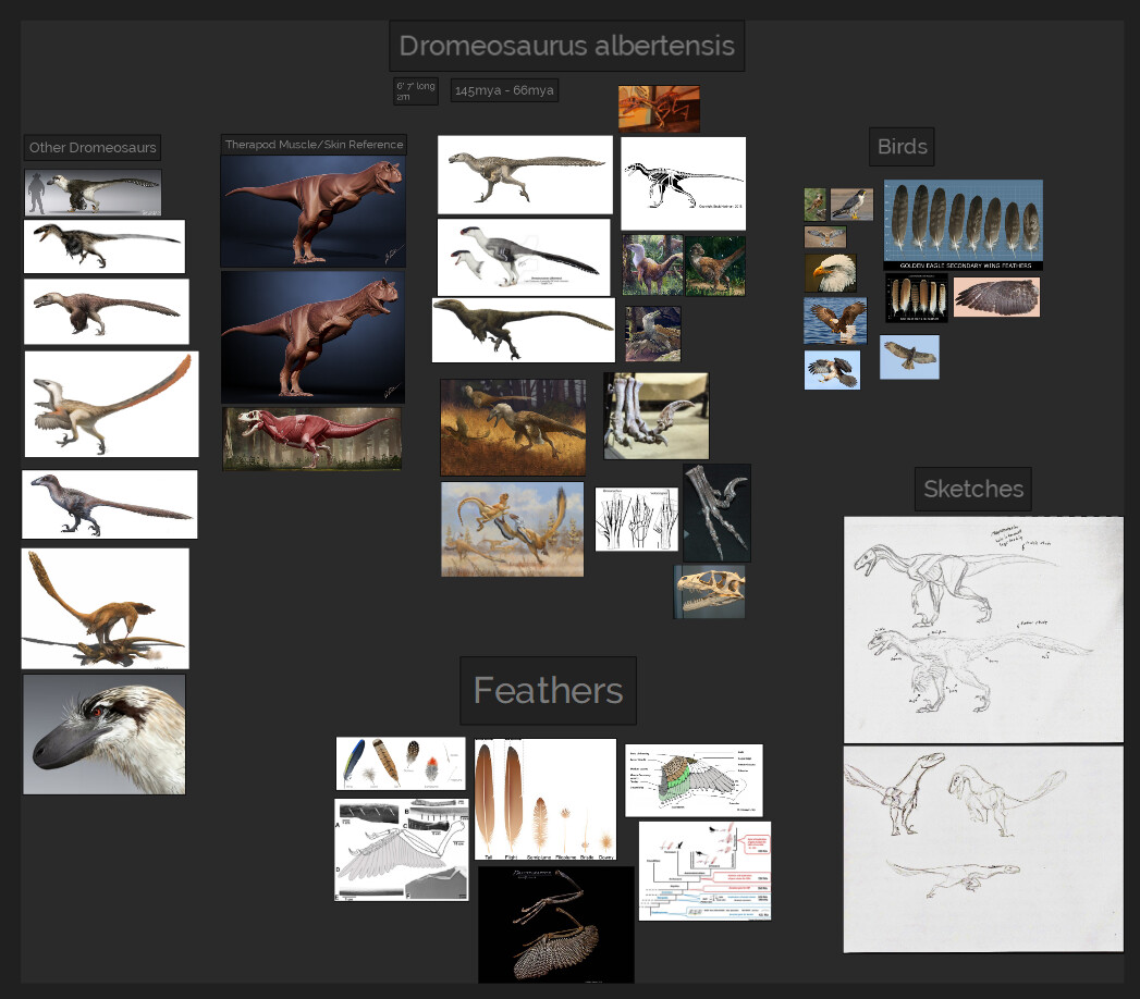 Ethan LeRoith - Dromeosaurus albertensis