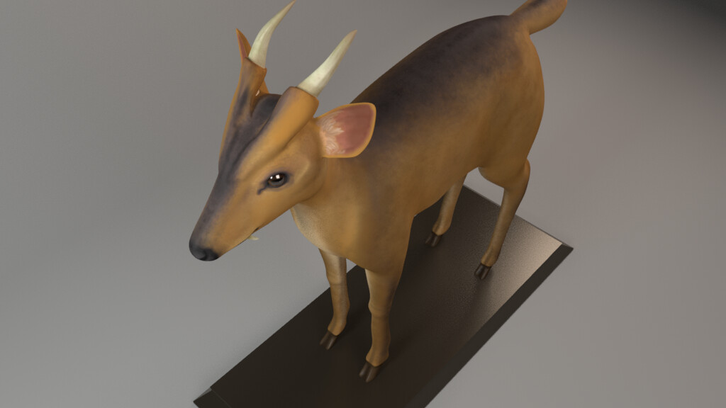 ArtStation - Muntjac Turnaround