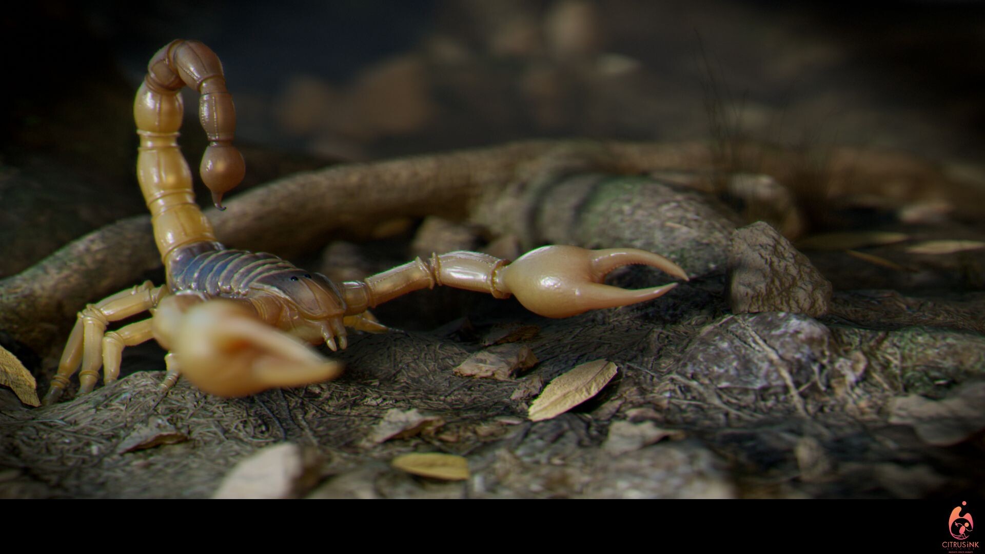 ArtStation - Scorpion