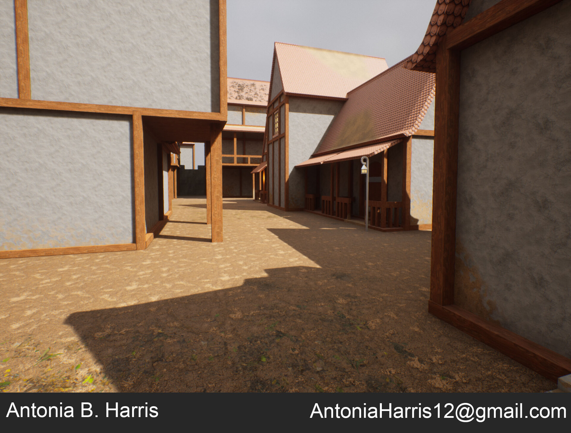 Antonia B. Harris - Medievil Town