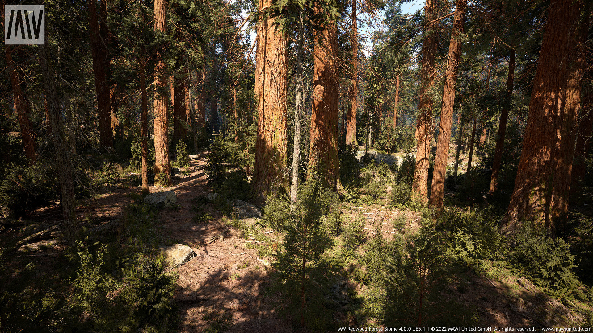 MAWI United - UE5.1 Redwood Forest Nanite