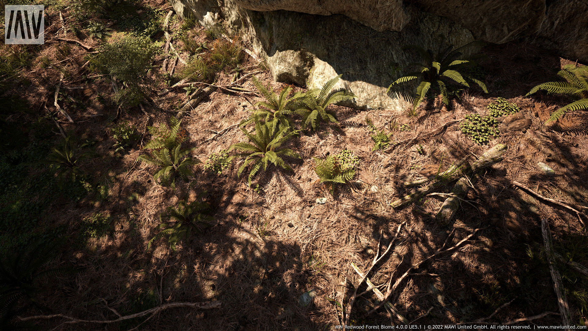 MAWI United - UE5.1 Redwood Forest Nanite