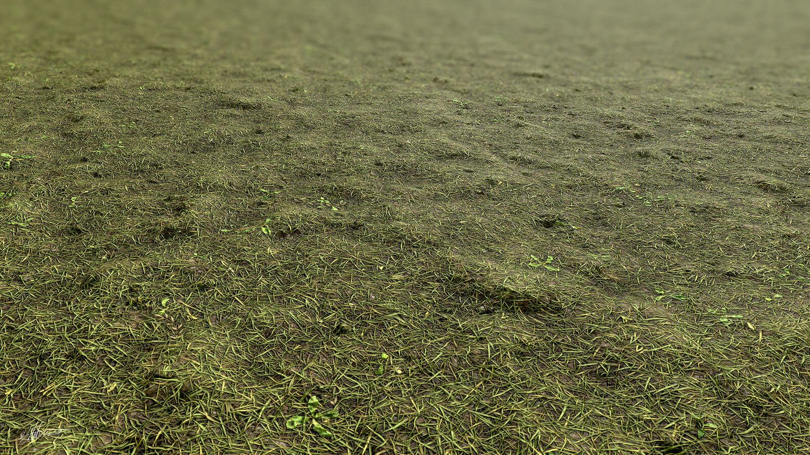 Dan Hutchinson - Terrain Studies