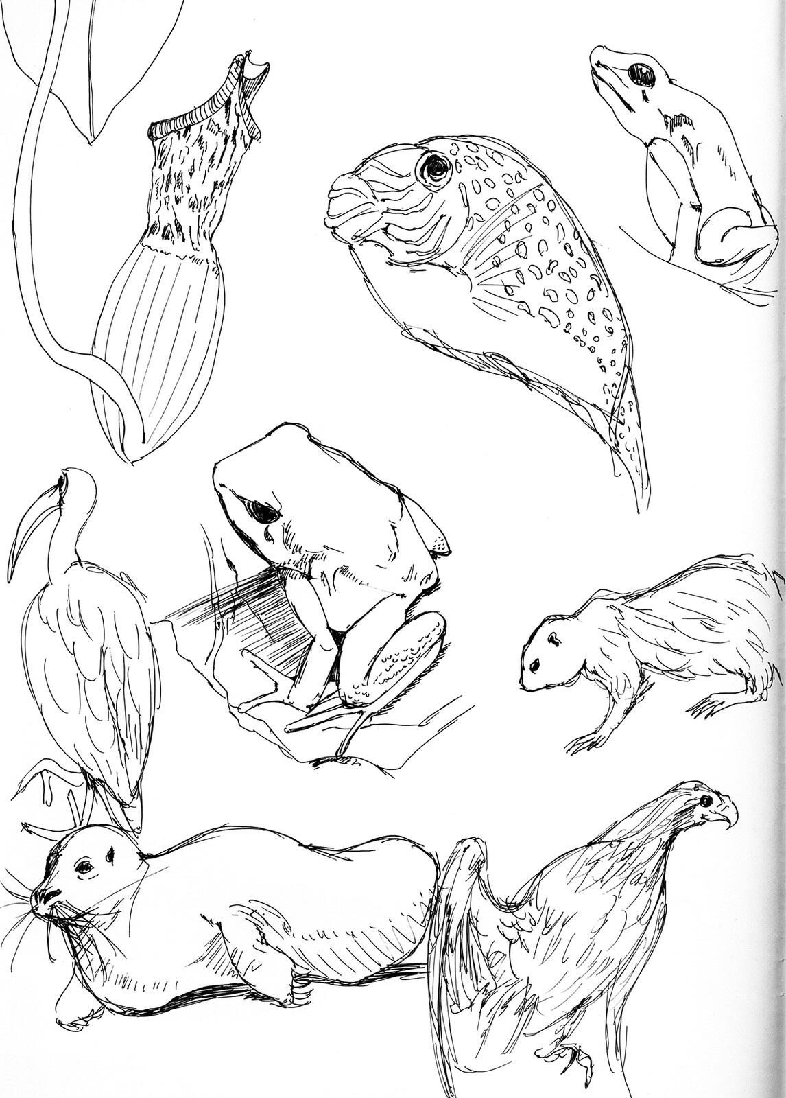 aoi fukami - Sketches(2022)