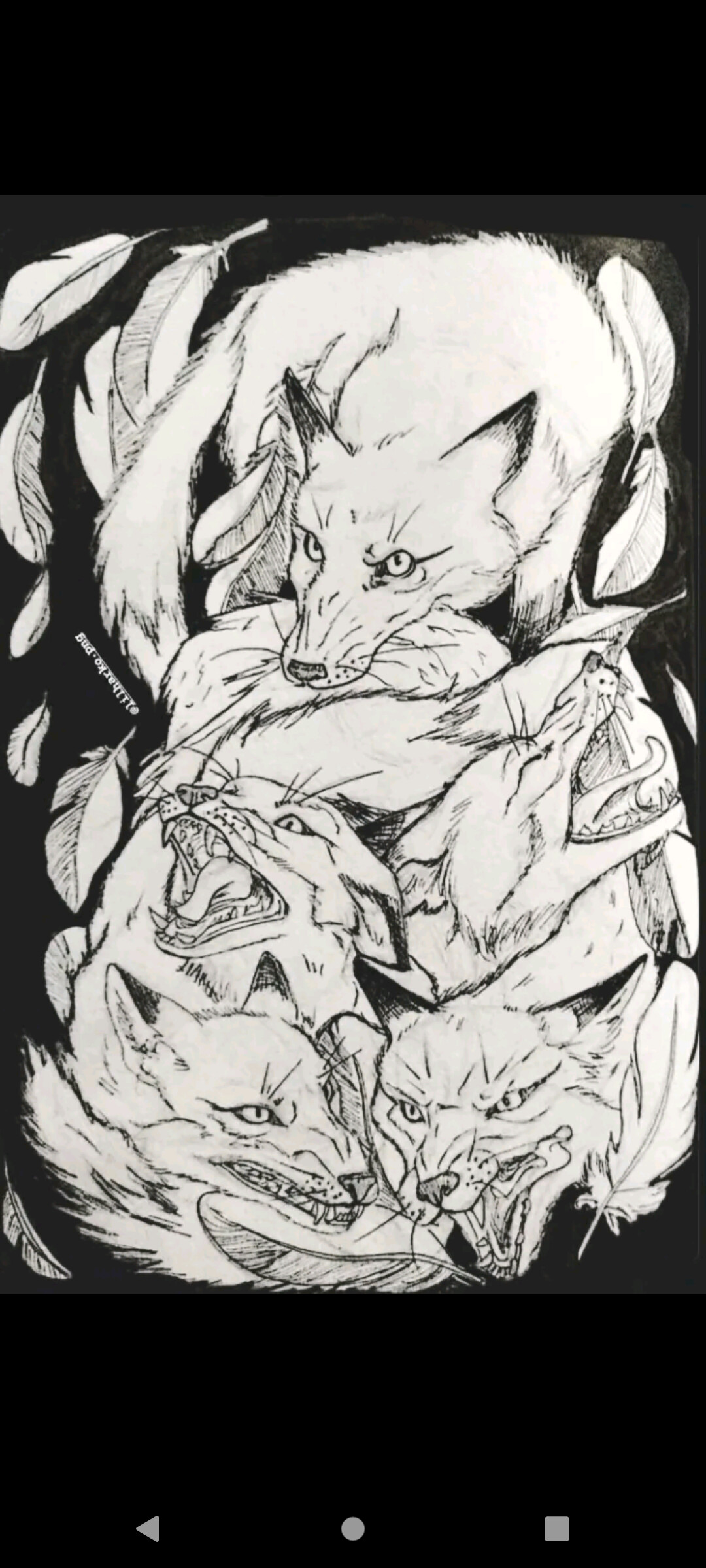 ArtStation - "Katz Kits" - LILHARKO.PNG