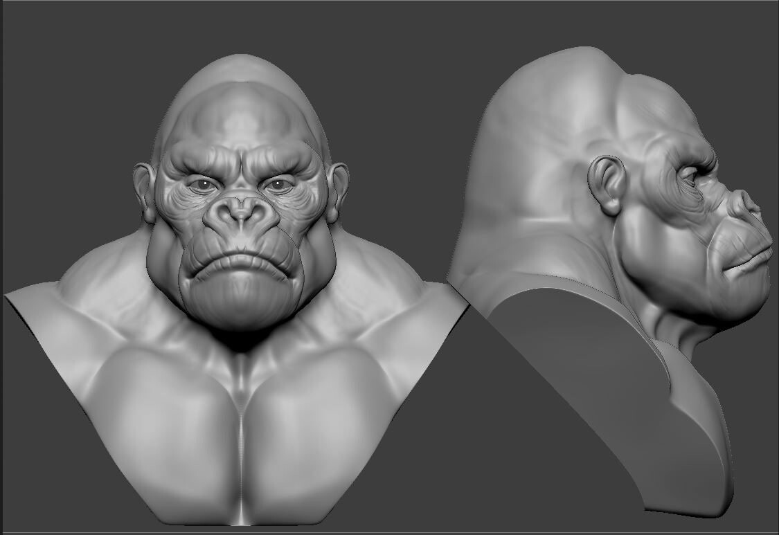Sochetra CG-Arts - Kong ( W.I.P )